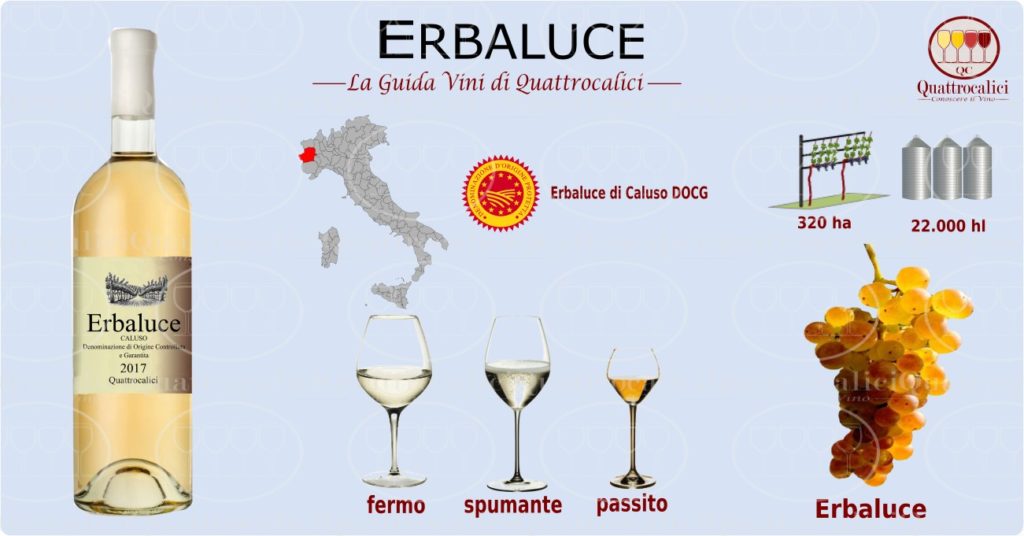 I Vini Erbaluce - Guida Quattrocalici