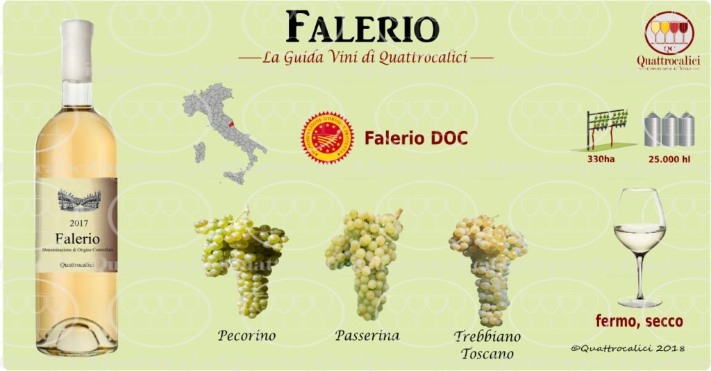 I Vini Falerio - Guida Quattrocalici