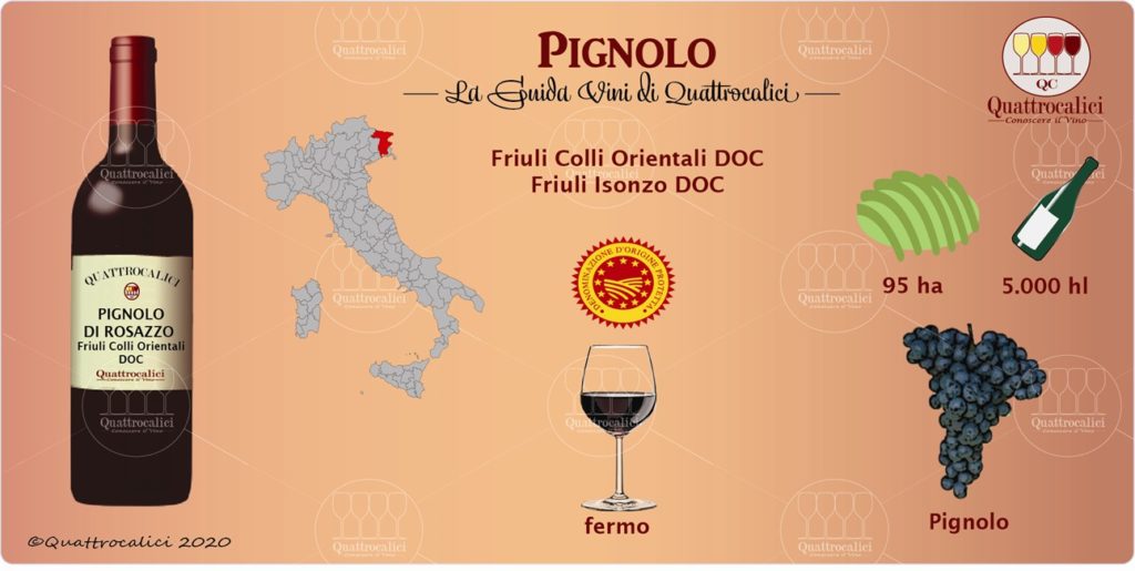 I Vini Pignolo - Guida Quattrocalici
