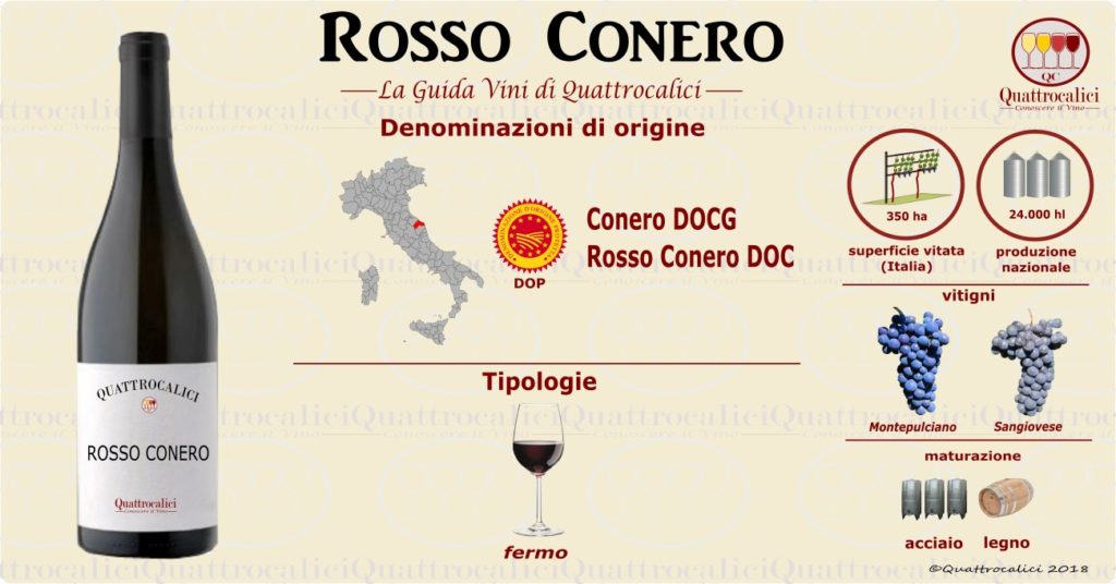 I Vini Rosso Conero - Guida Quattrocalici