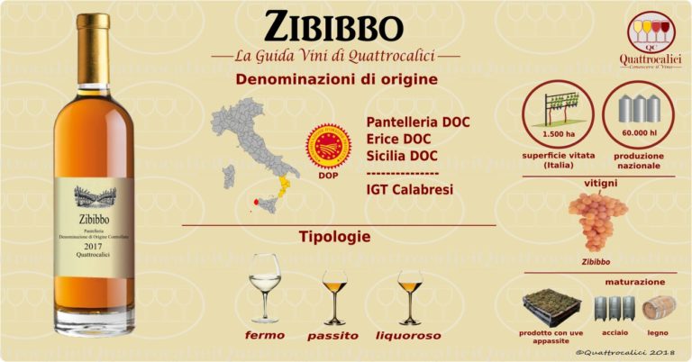 I Vini Zibibbo - Guida Quattrocalici