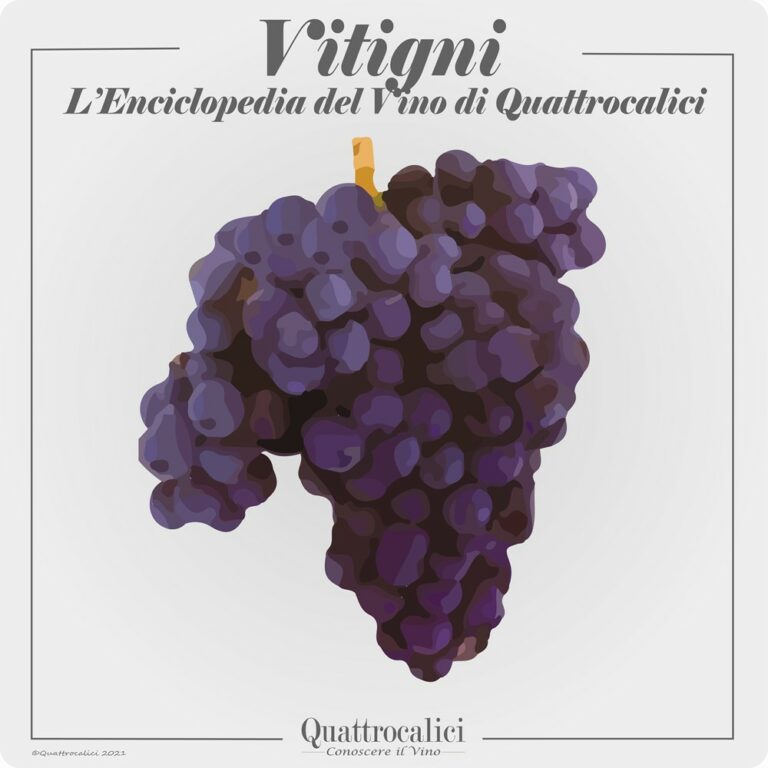 Tutti i Vini d'Italia - Quattrocalici